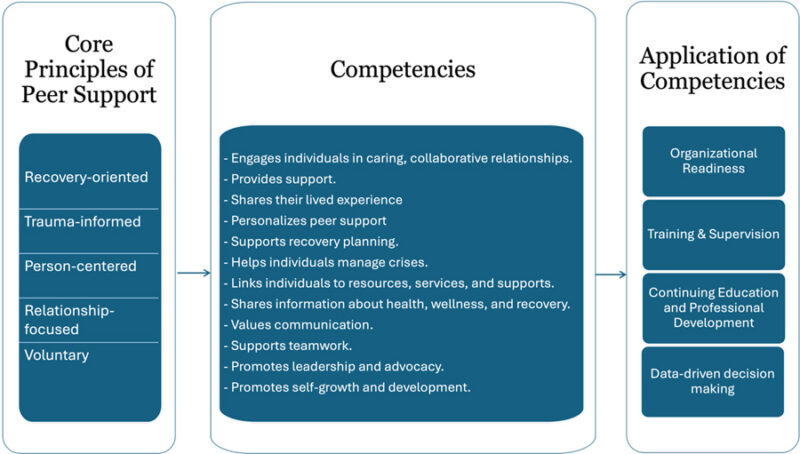 Measuring What Matters in Peer Support: Using Competencies and Fidelity ...